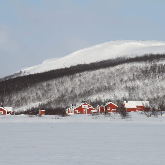 Stabbursdalen National Park, Arctic Norway | GLØD Explorer
