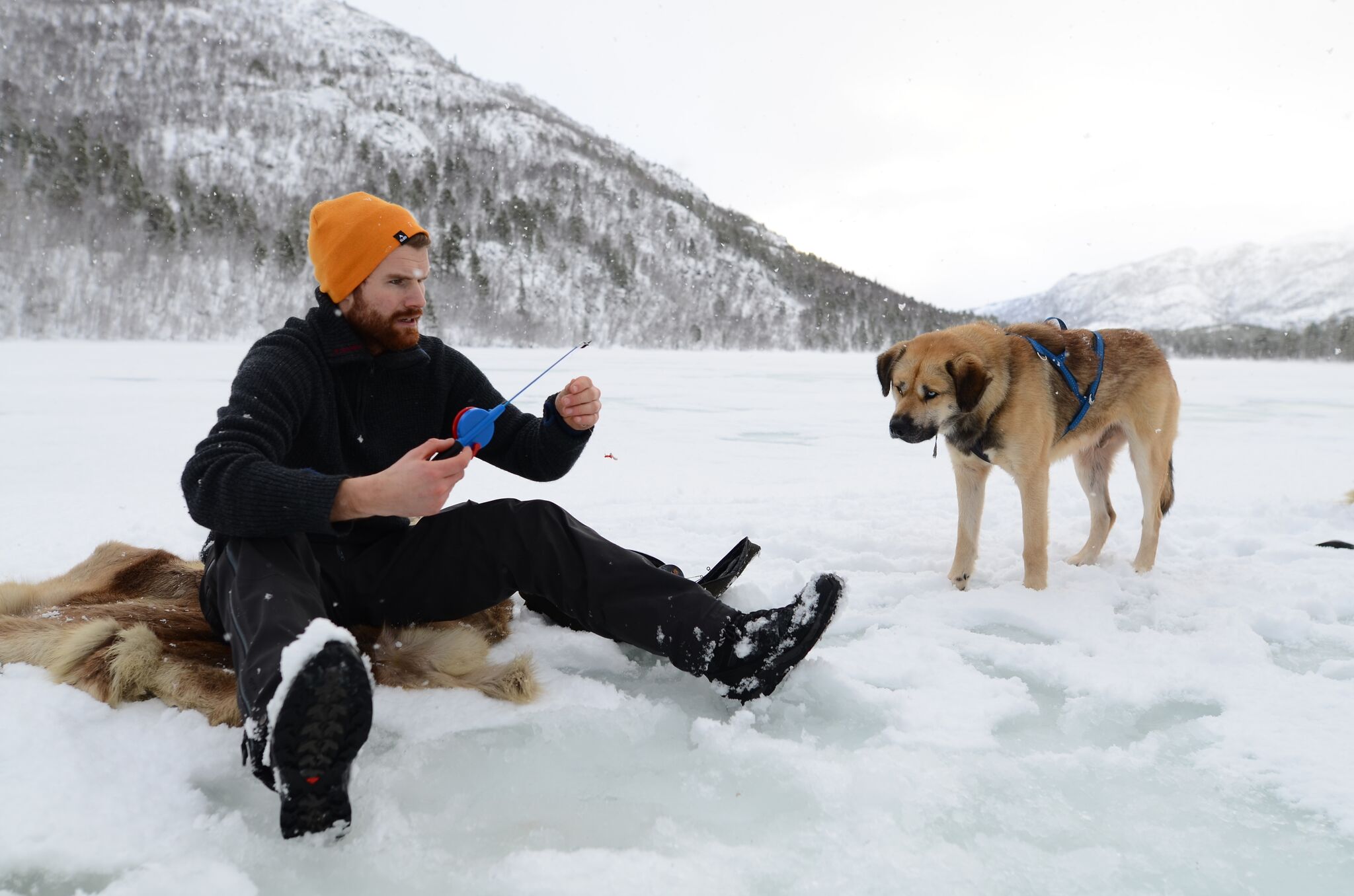 Vinter Explorer Alta | GLØD Explorer